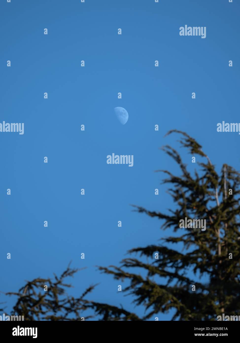 Shot of the moon hi-res stock photography and images - Alamy