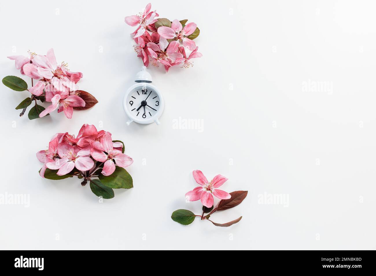 Small white clock with bell on white with fresh spring daisy flowers ...
