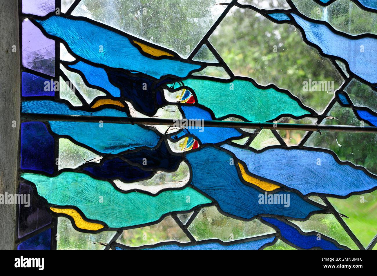 Detail showing a pair of Puffins in a stained glass window in the ...