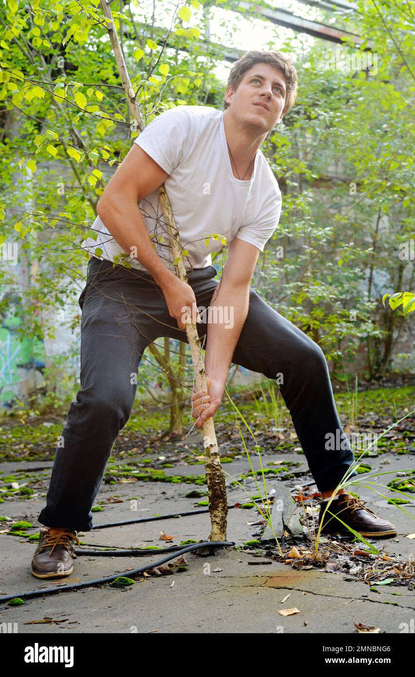 Uprooting of tree hi-res stock photography and images - Alamy