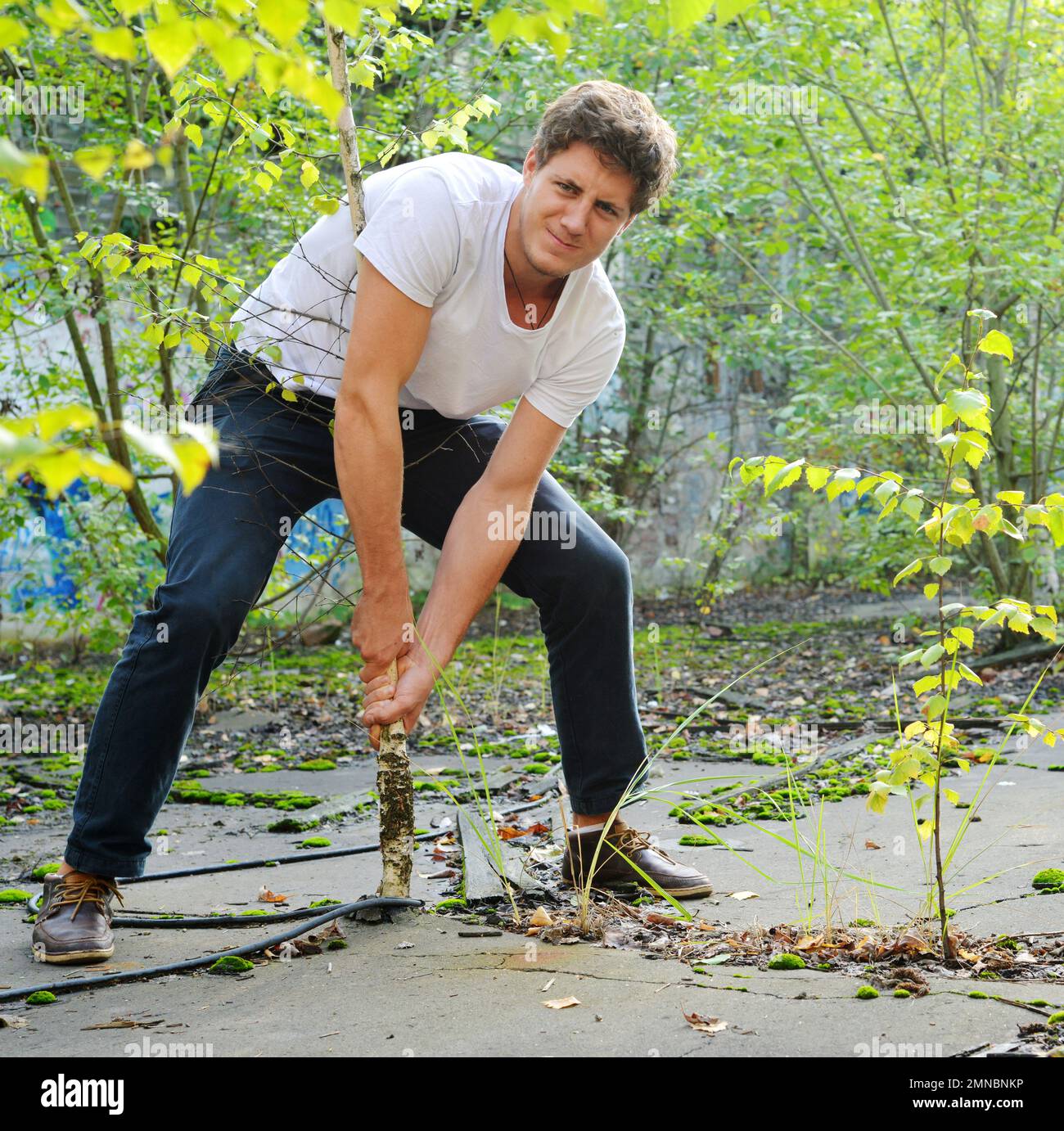 Uprooting of tree hi-res stock photography and images - Alamy