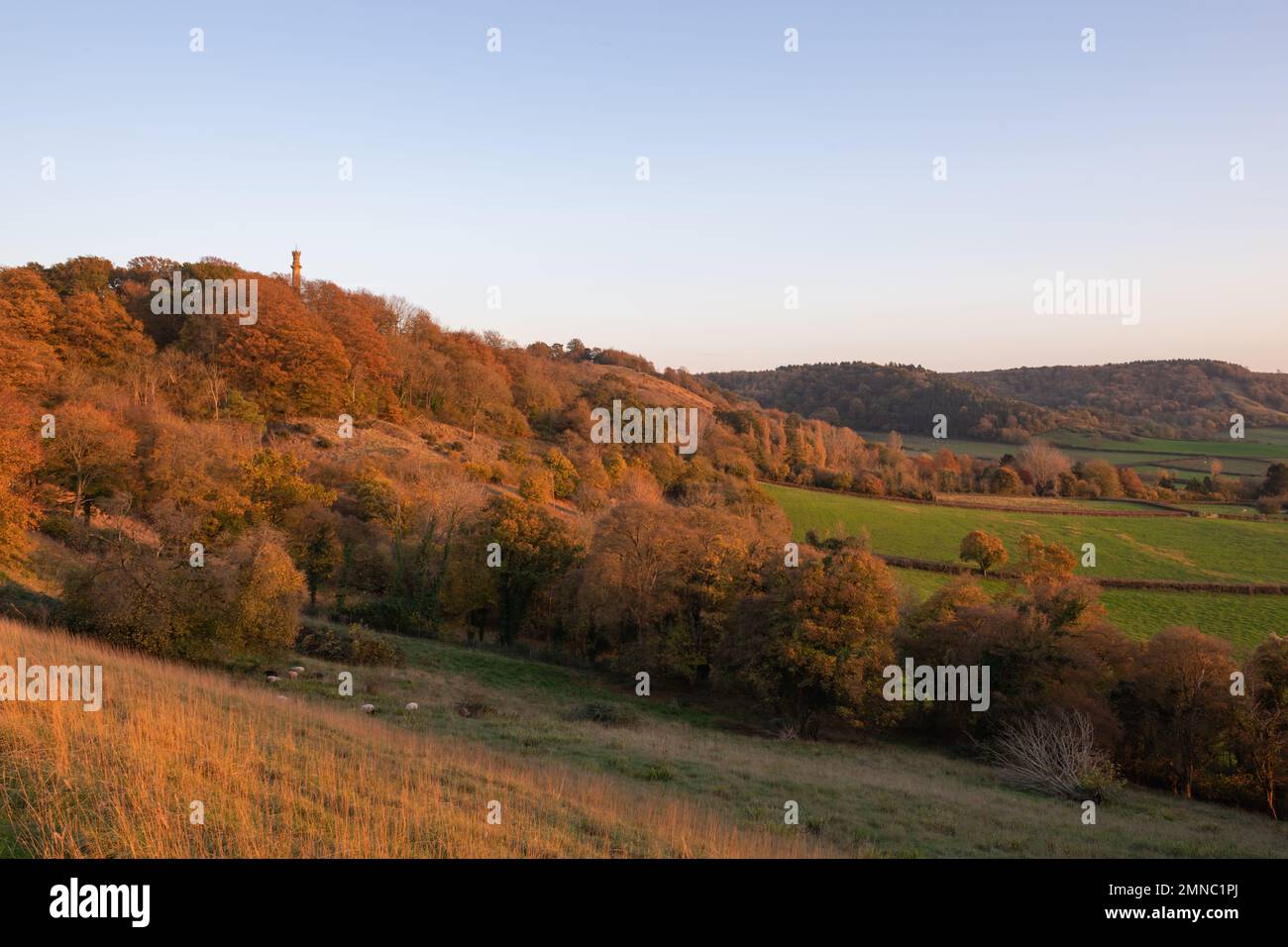 Landscape photo of the autumn colours at dusk at the Admiral Hood ...