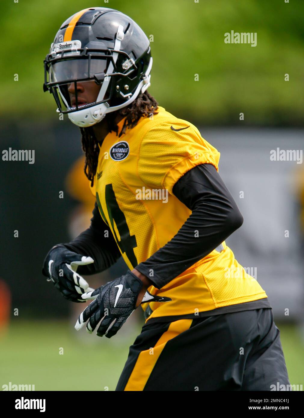 Pittsburgh Steelers safety Terrell Edmunds (34) during their NFL ...