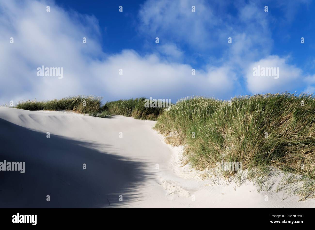 White dunes in Denmark Stock Photo - Alamy