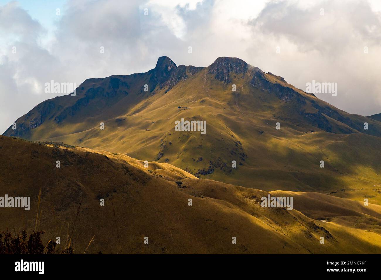 Fuya fuya hi-res stock photography and images - Alamy