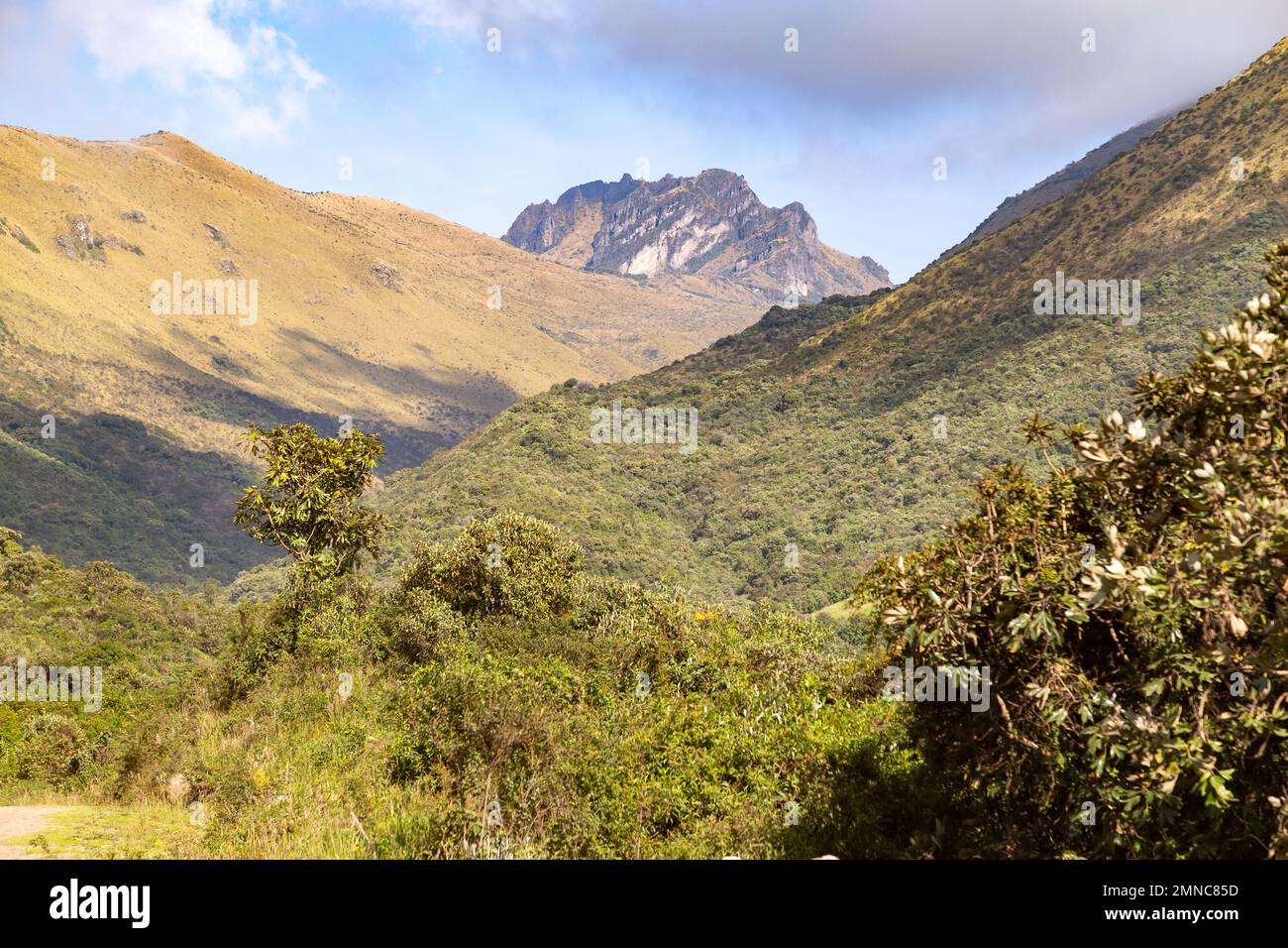 View of Cerro Negro or Yanahurco de Mojanda and the paramos and native vegetation that surround ...