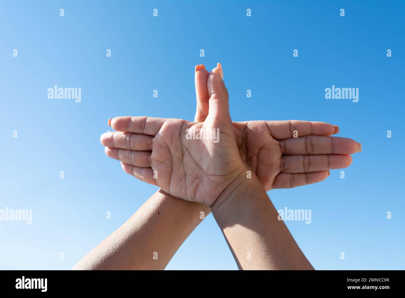 Butterfly shape with hands hi-res stock photography and images - Alamy