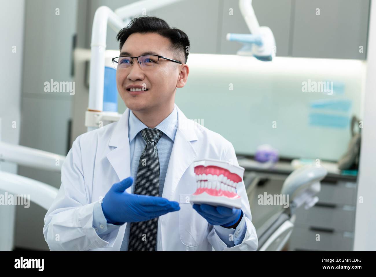 The dentist in dental clinic model show teeth Stock Photo - Alamy