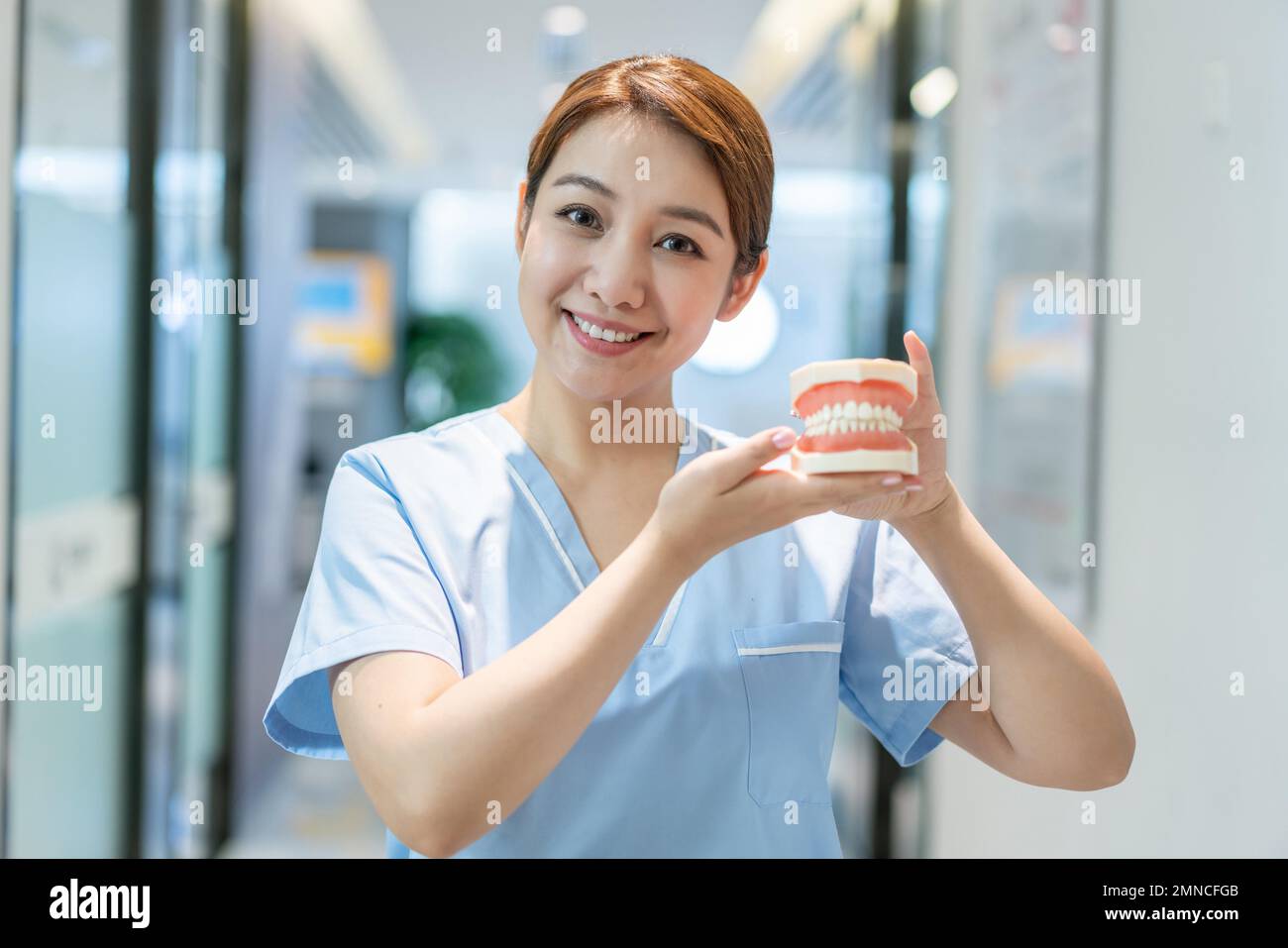 The nurse show teeth model in dental clinic Stock Photo - Alamy