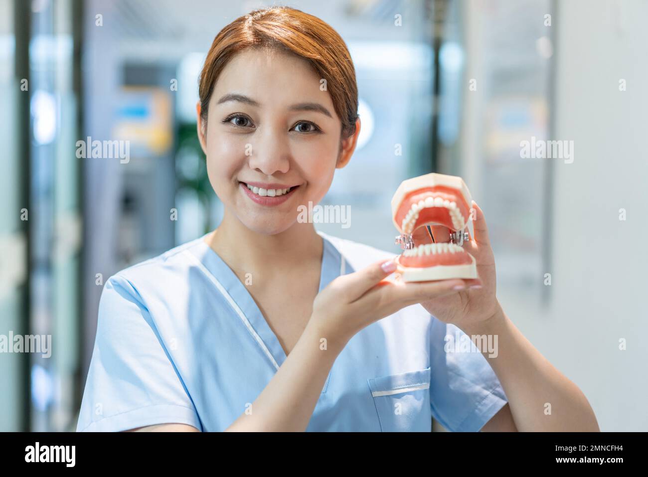 The nurse show teeth model in dental clinic Stock Photo - Alamy