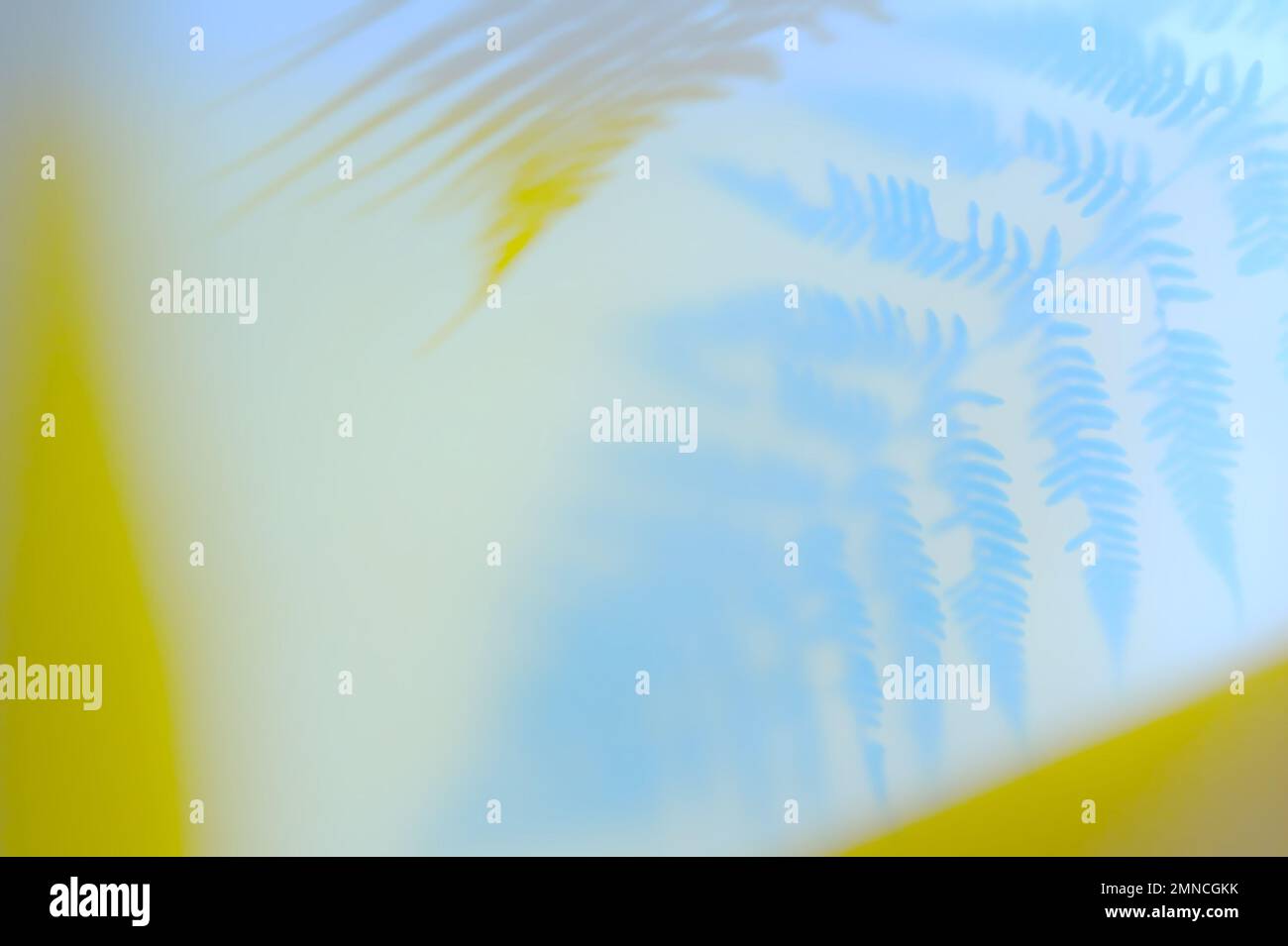 Creative layout with a branch of fern over white background. Concept ...