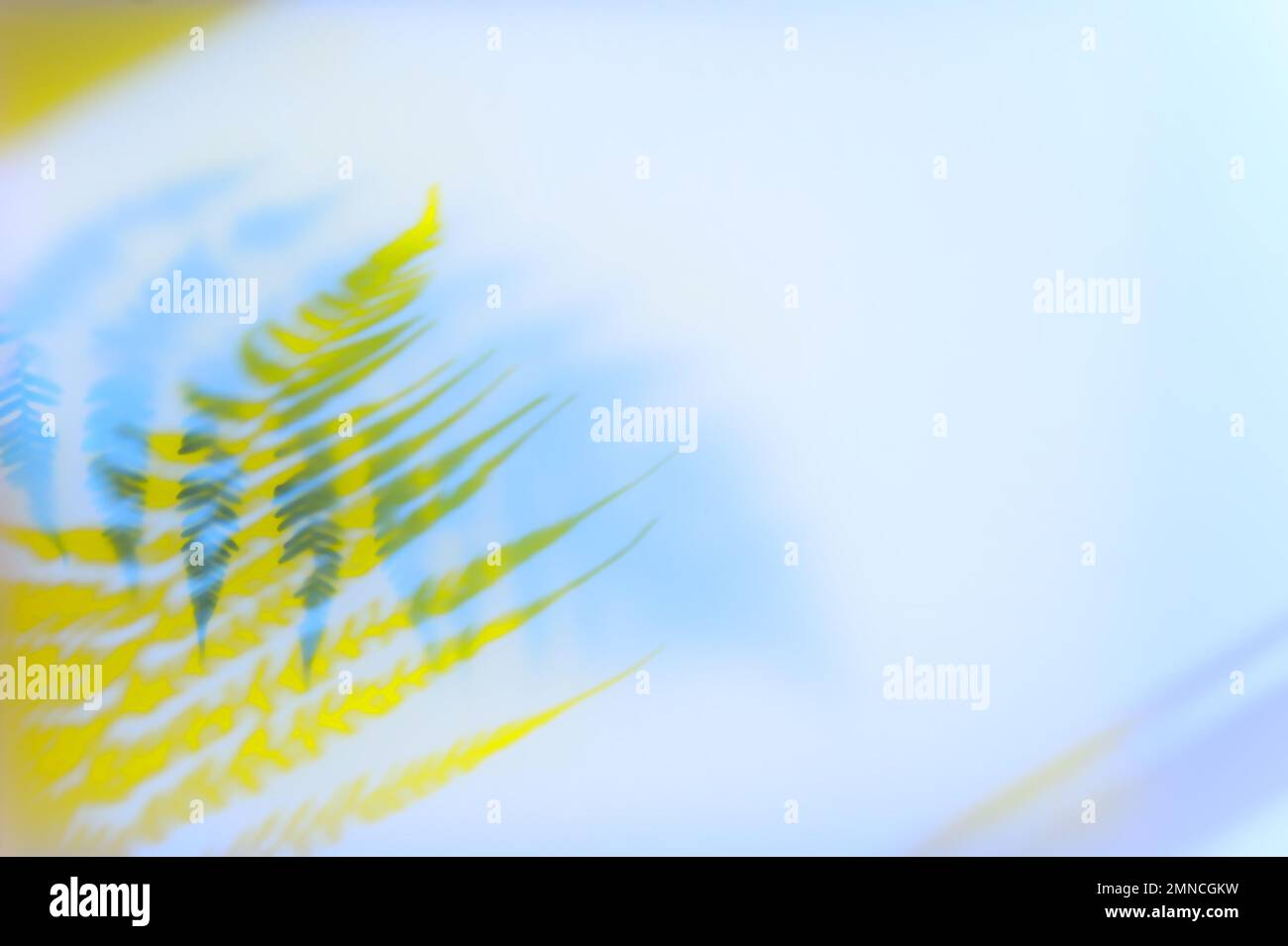 Creative background with a branch of fern. Concept art idea. Nature ...