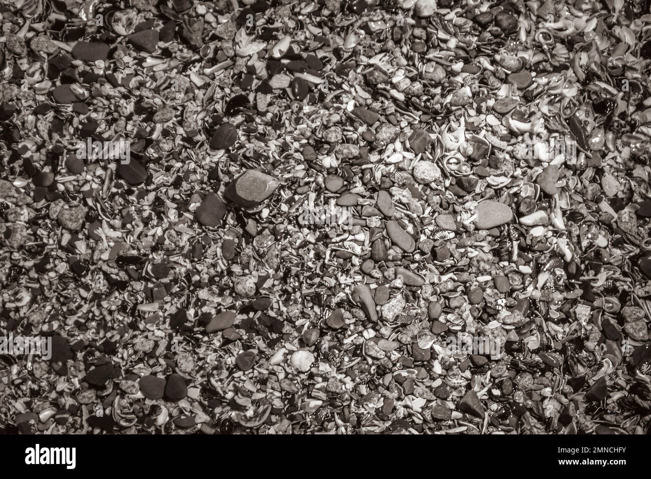 Violet brown cape hi-res stock photography and images - Alamy