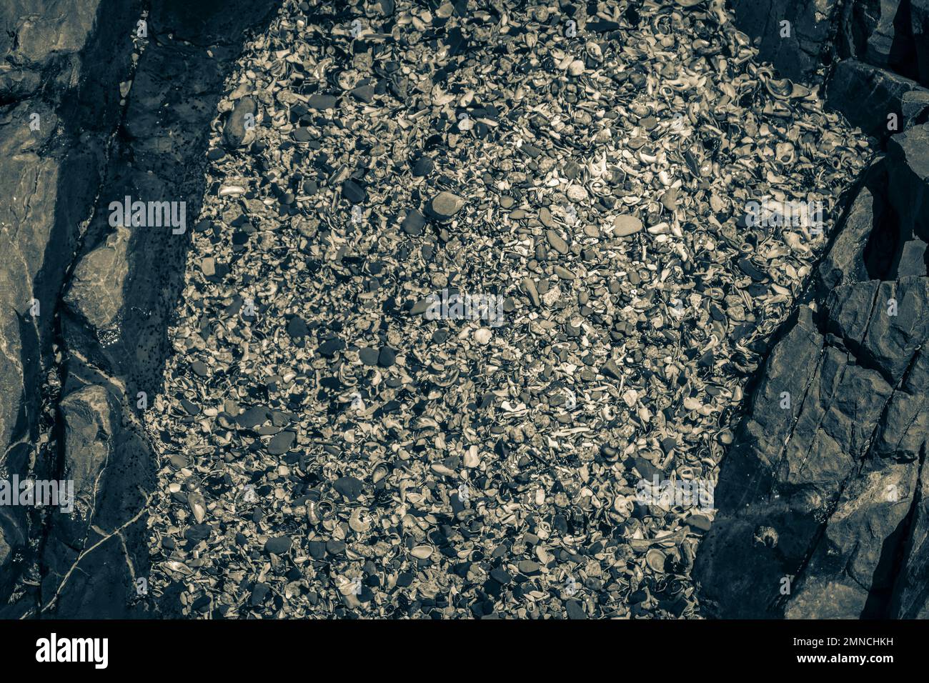 Texture of seashells, beach sand and stones. Sea Point promenade, Cape ...