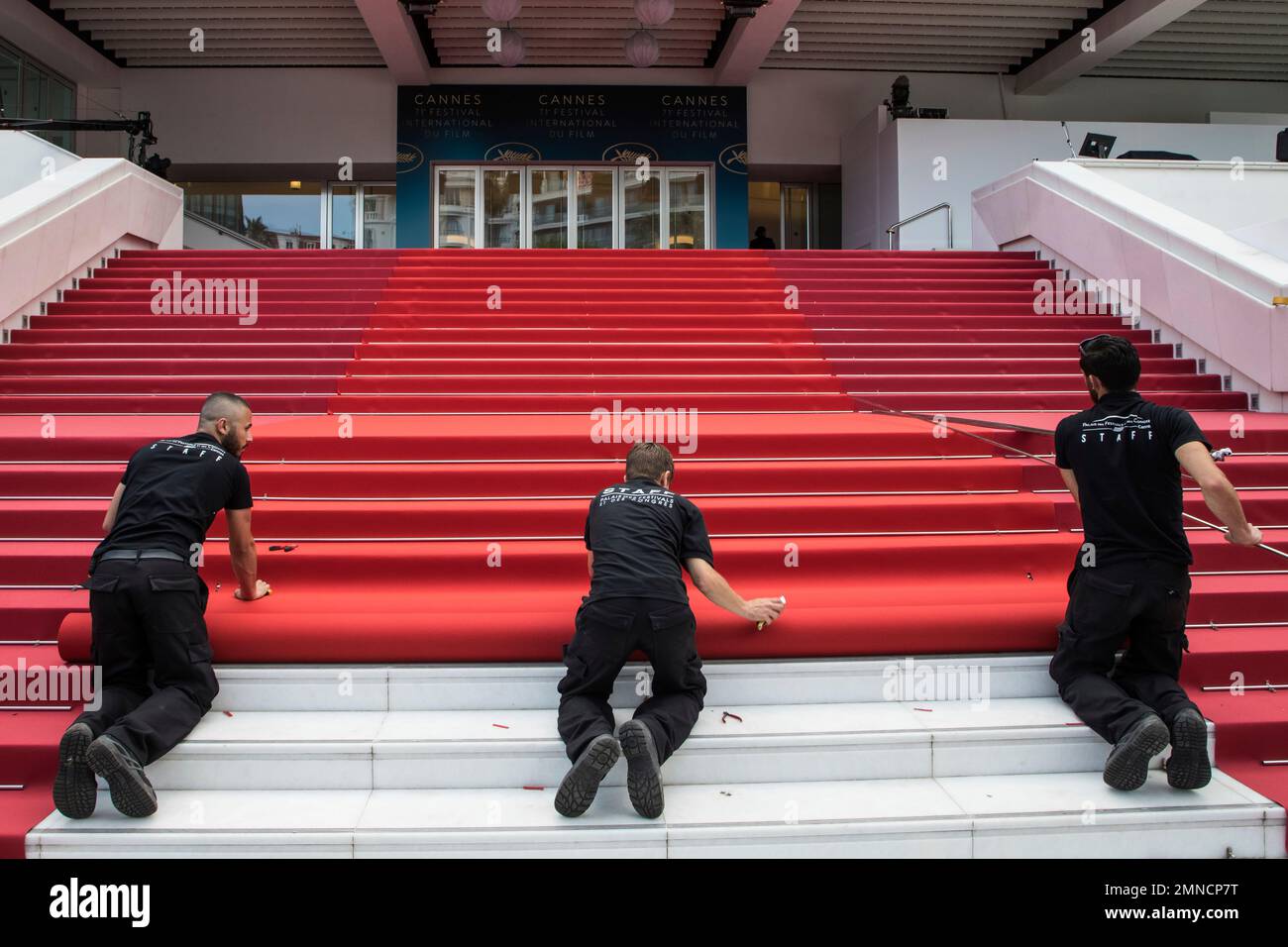 Workers lay down the red carpet on the steps leading to the Palais des ...