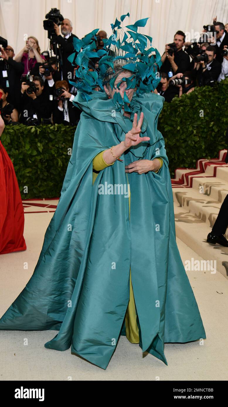 Frances McDormand attends The Metropolitan Museum of Art's Costume ...