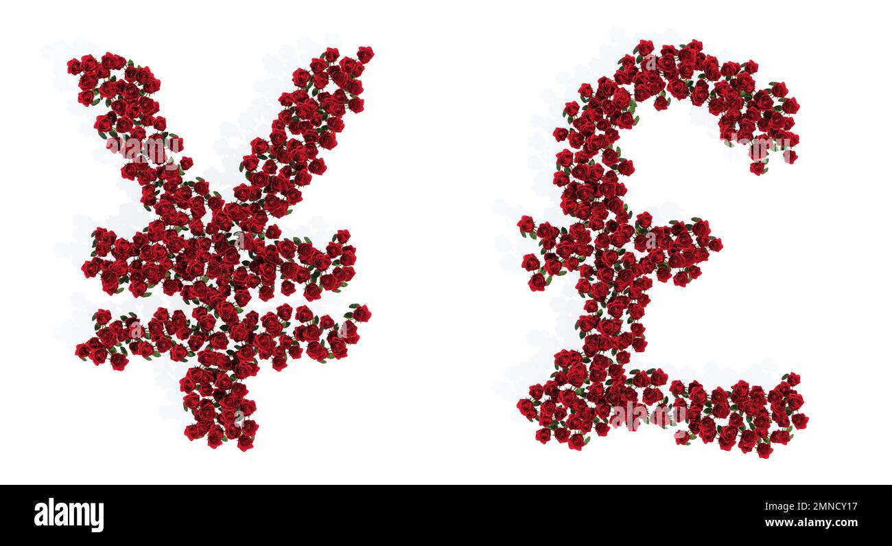 Concept or conceptual set of beautiful blooming red roses bouquets ...