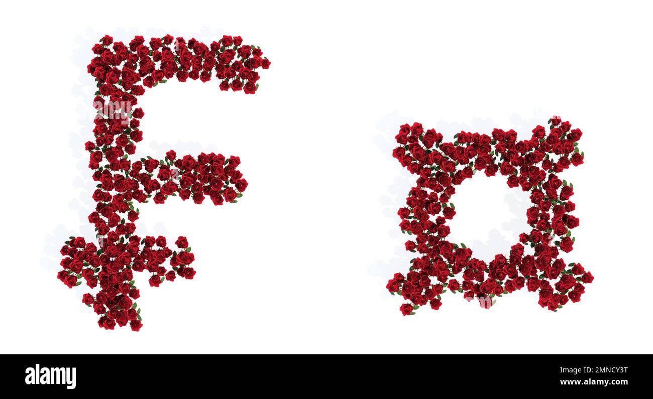 Concept or conceptual set of beautiful blooming red roses bouquets ...