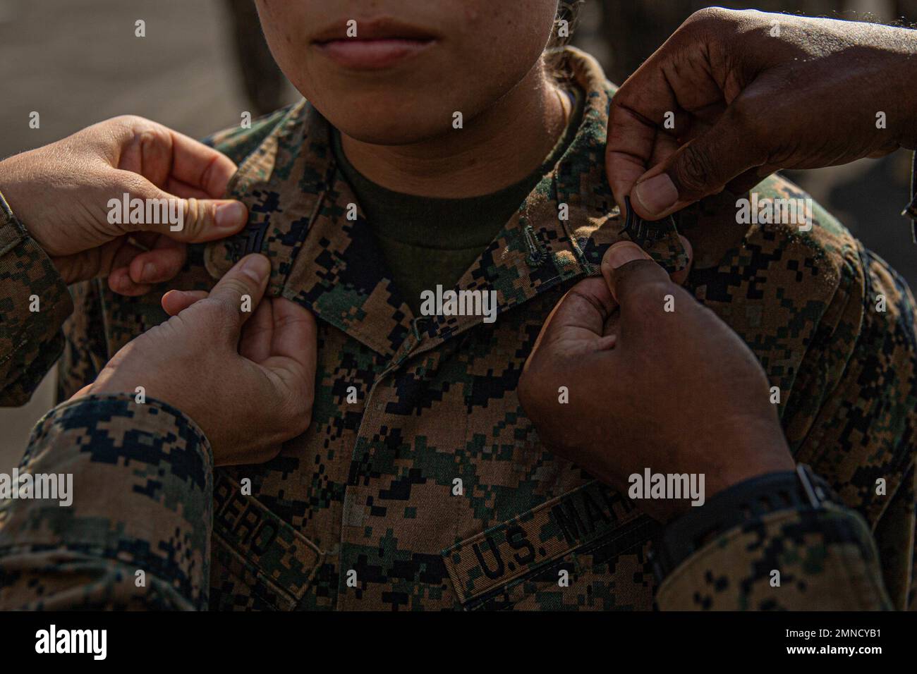 U.S. Marine Corps Sgt. Luz Guerrero, an inventory management specialist ...