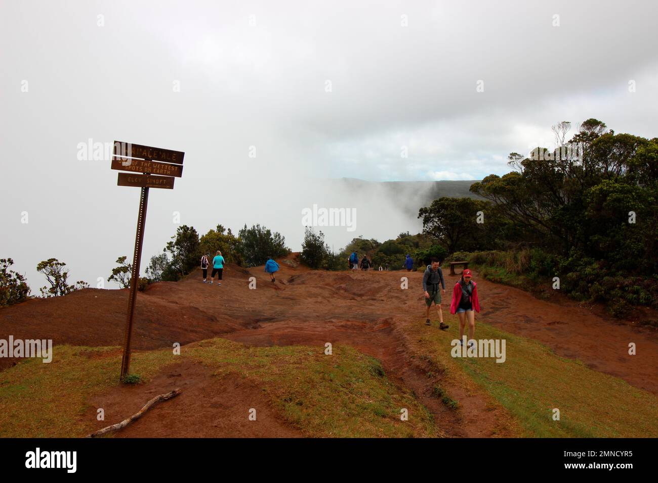 This Feb. 15, 2018 photo shows Kauai's Mount Waialeale. It's one of the ...