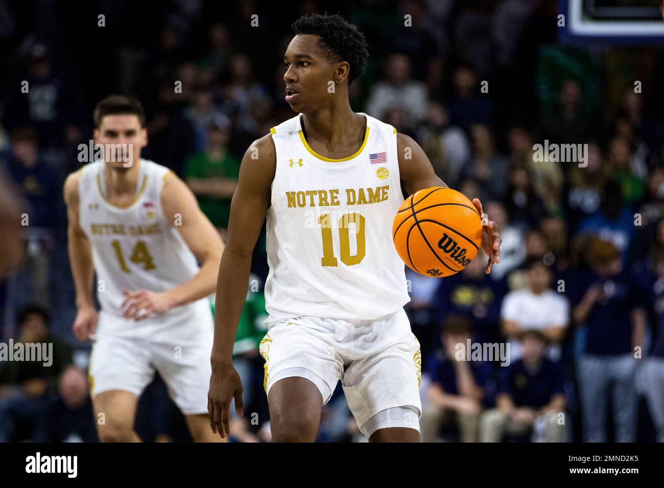 Notre Dame's Marcus Hammond (10) during the second half of an NCAA ...