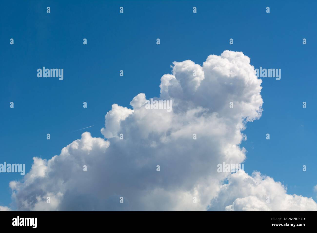 Sample cumulus clouds as a background Stock Photo - Alamy