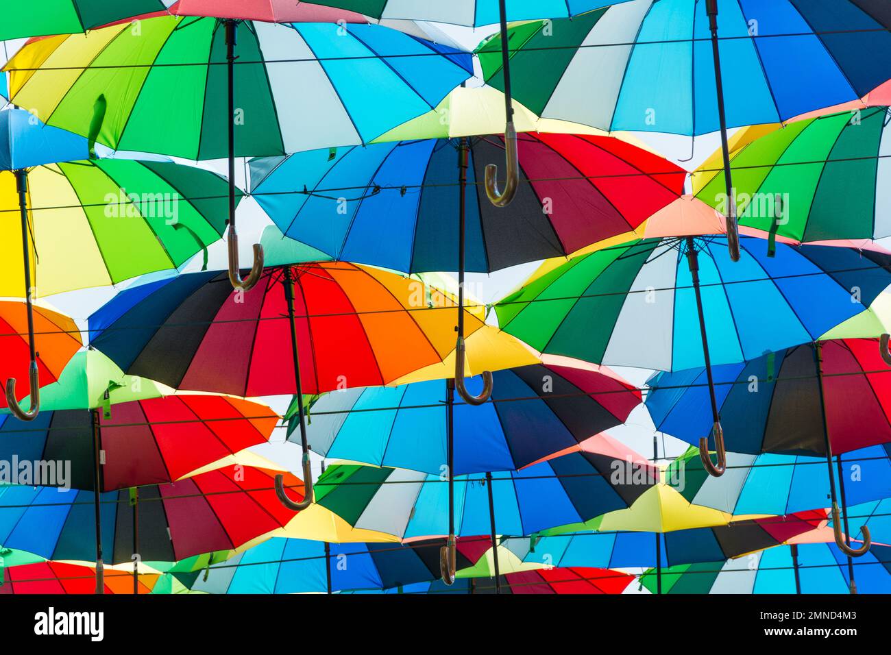Bright colored umbrellas as a joyful background Stock Photo - Alamy