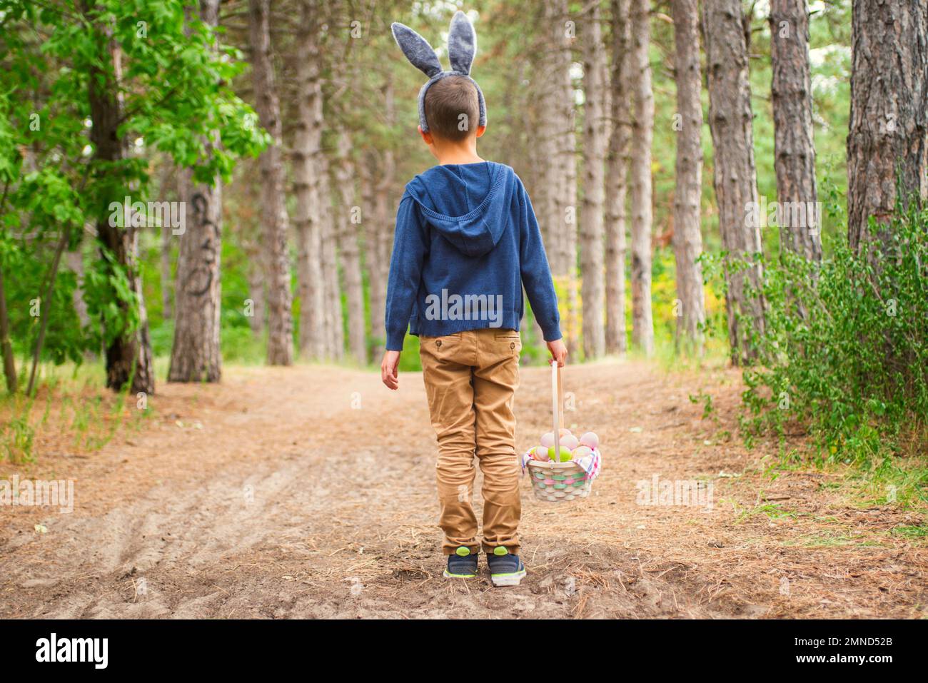A child looking for Easter eggs in the forest. Little boy hunting for ...