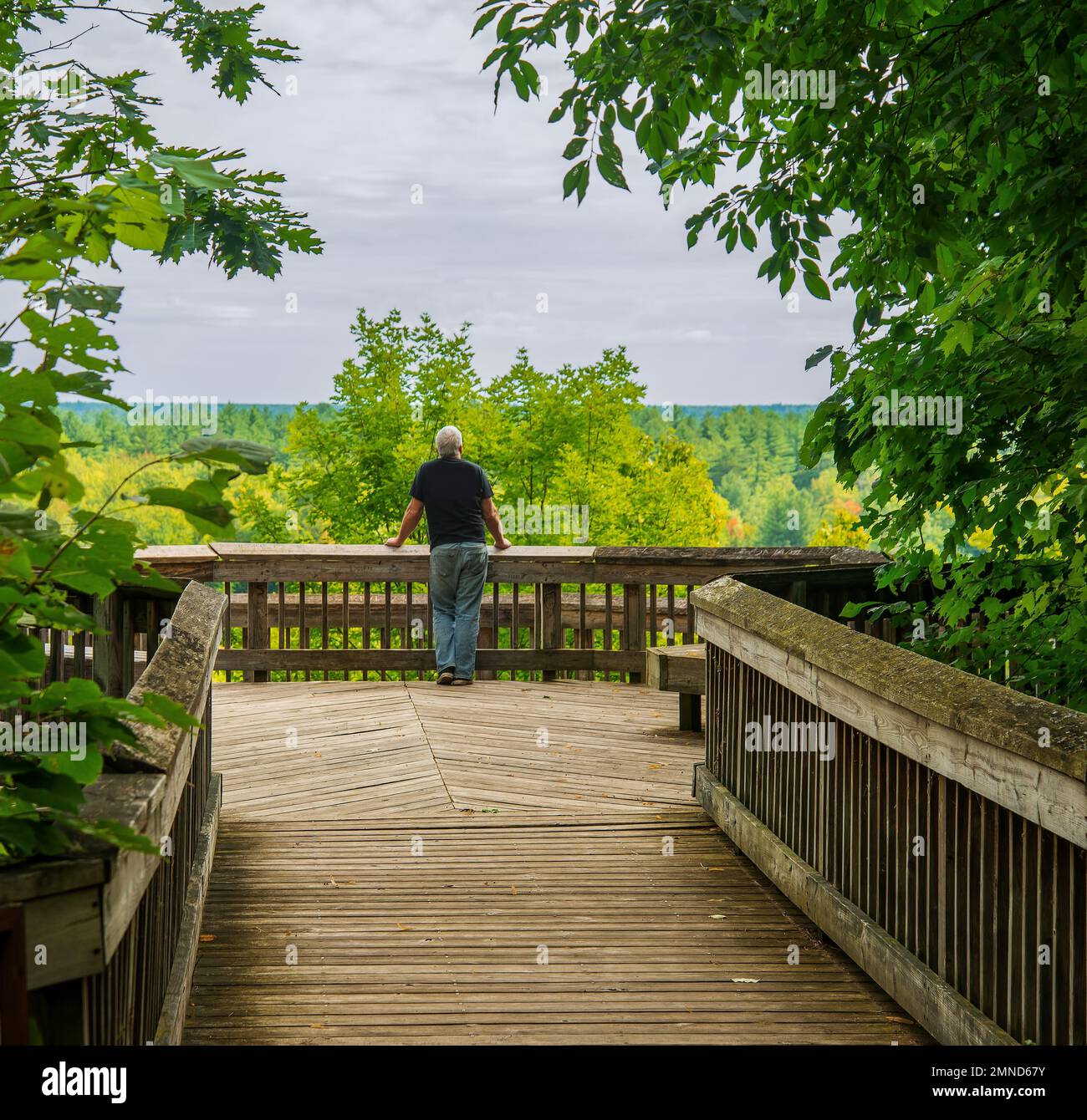 Custom built overlook deck for viewing scenery of Michigan UP Stock ...