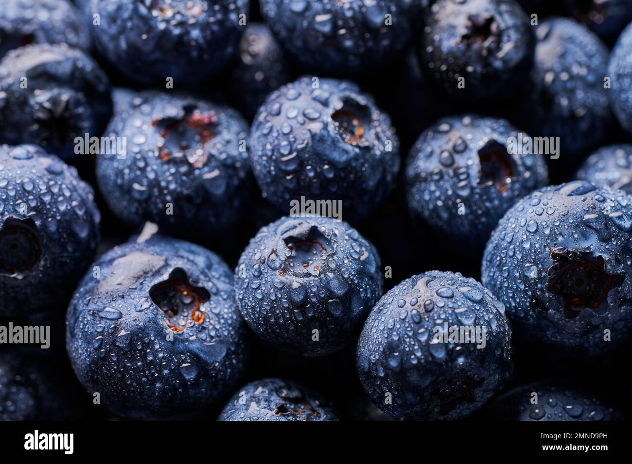 details of Organic blueberries in high resolution as a background Stock ...