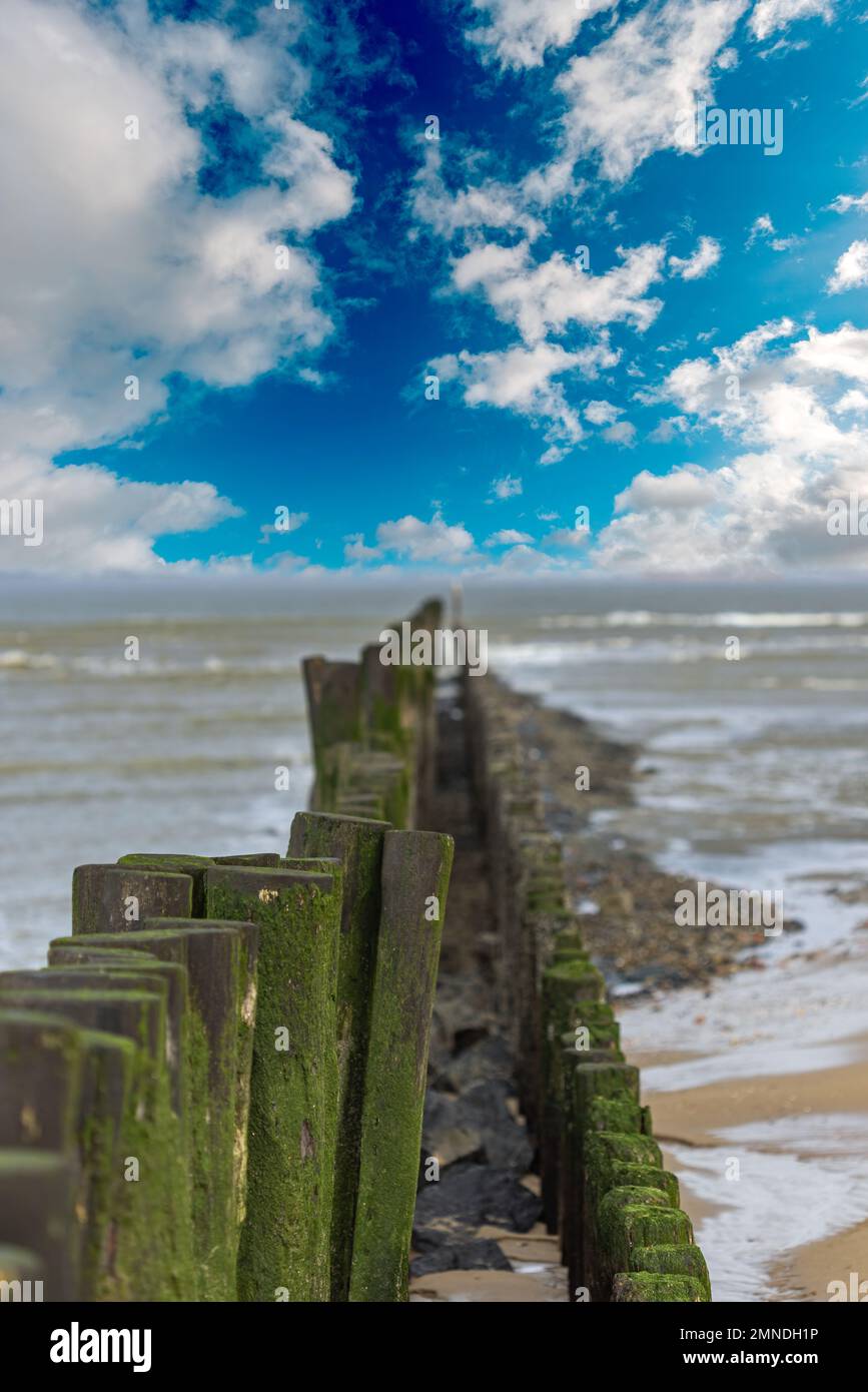 North Sea with wooden poles in a cloudy and windy day at Breskens ...