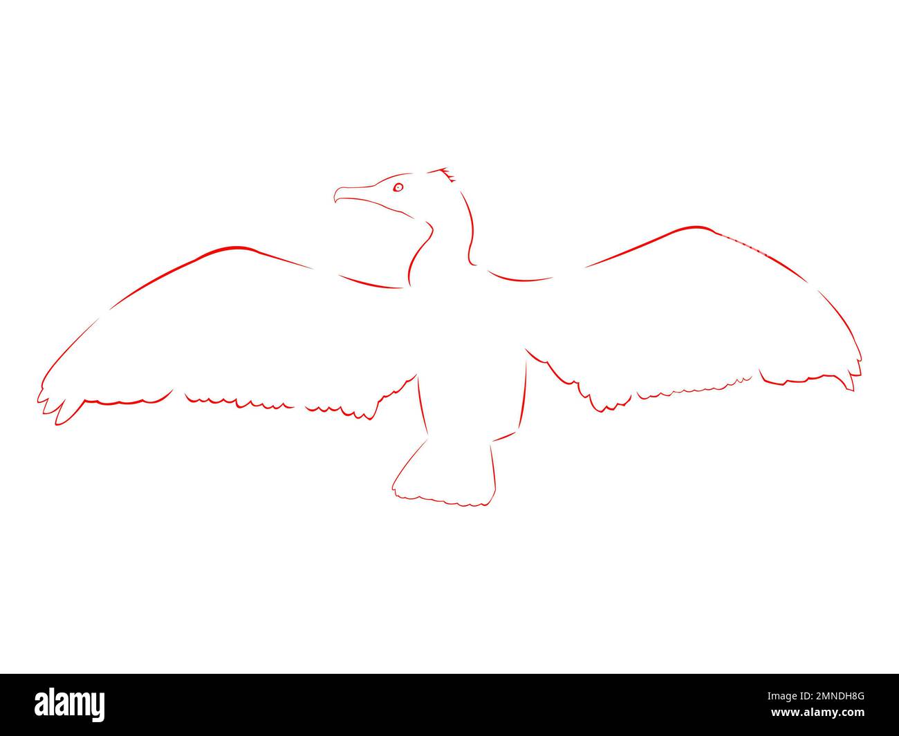 Great Cormorant Red Colored Line-Art Illustration on White Background ...