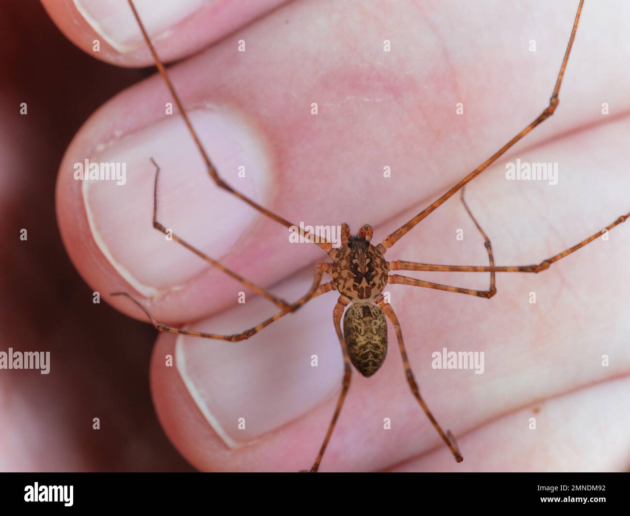 Human spitting hi-res stock photography and images - Alamy