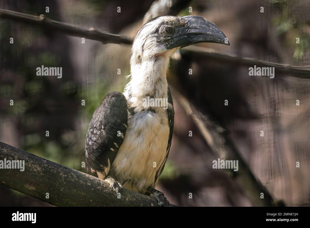 Wood trunk rests on hi-res stock photography and images - Alamy