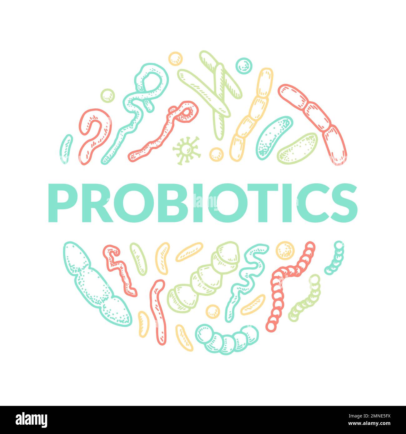 Lactobacillus vector vectors hi-res stock photography and images - Alamy