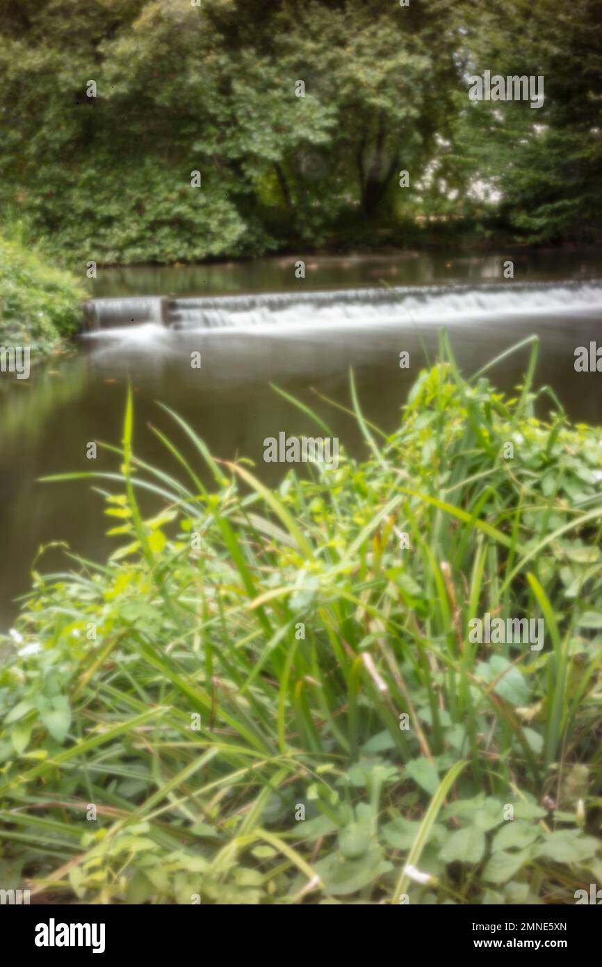 Pinhole Photography Woodland Series.New, Age-defying, lensless, stand ...