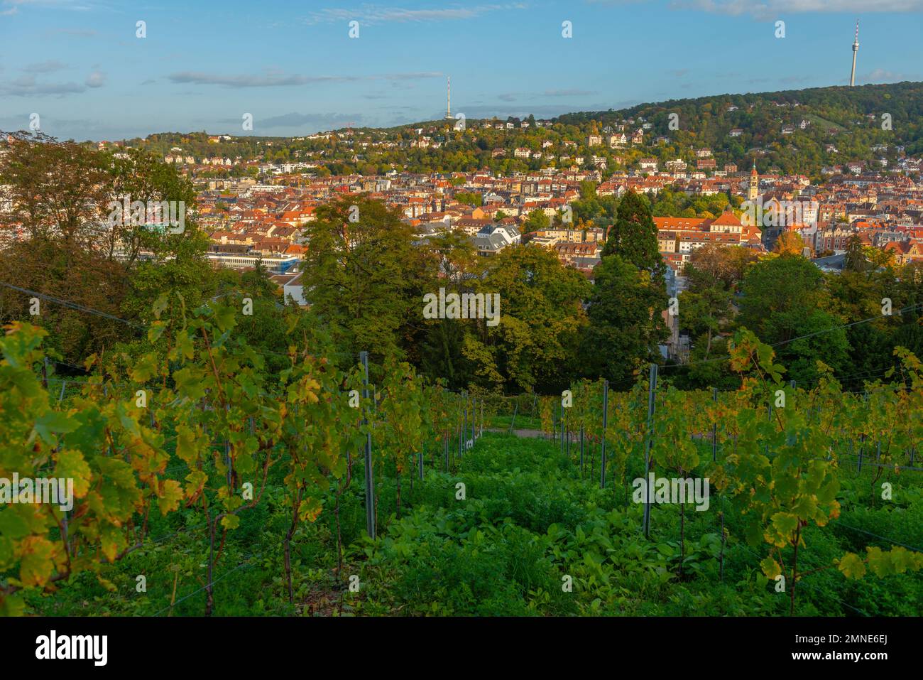 Elevated view from Park Karlshöhe with urban vineyard, Stuttgart ...