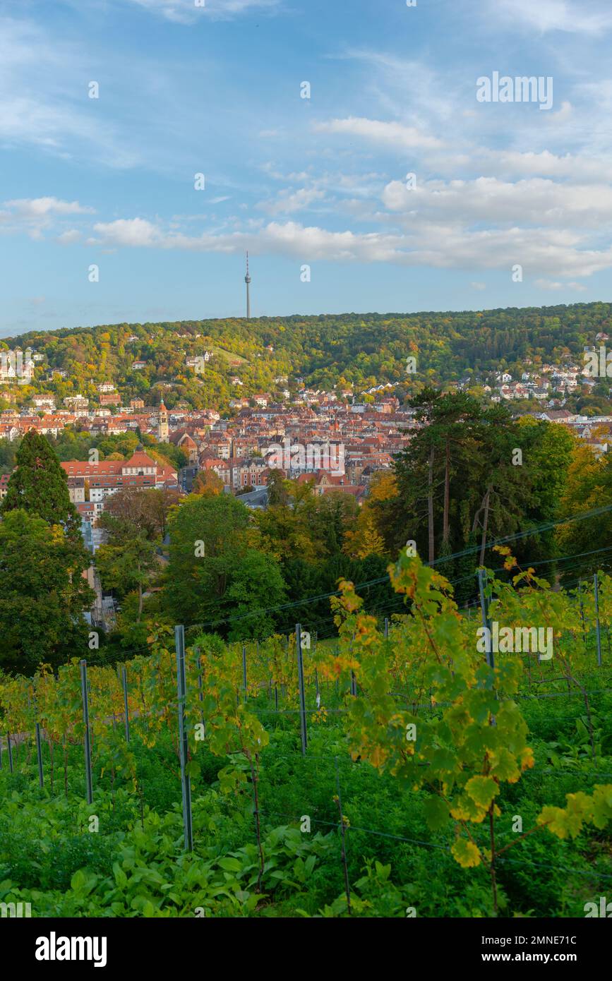 Urban geography hi-res stock photography and images - Alamy