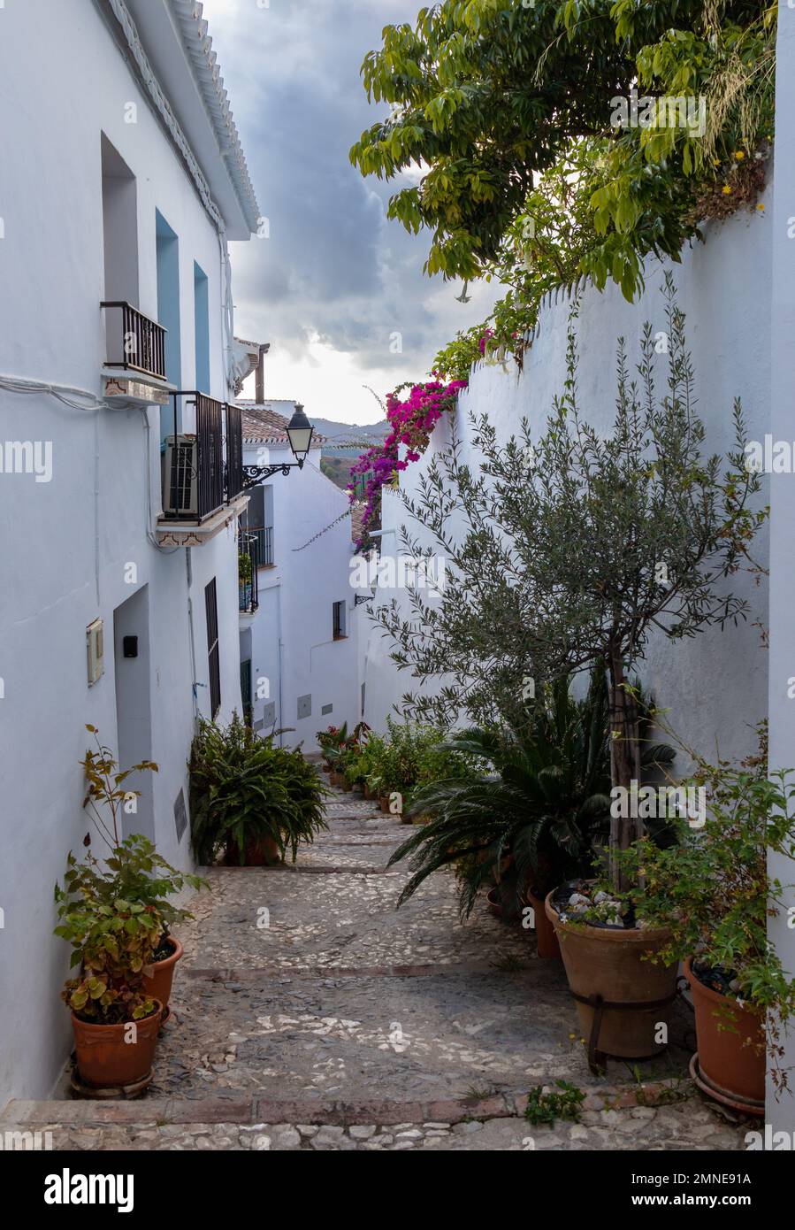Calle típica de Frigiliana, Málaga, uno de los pueblos más bonitos de ...