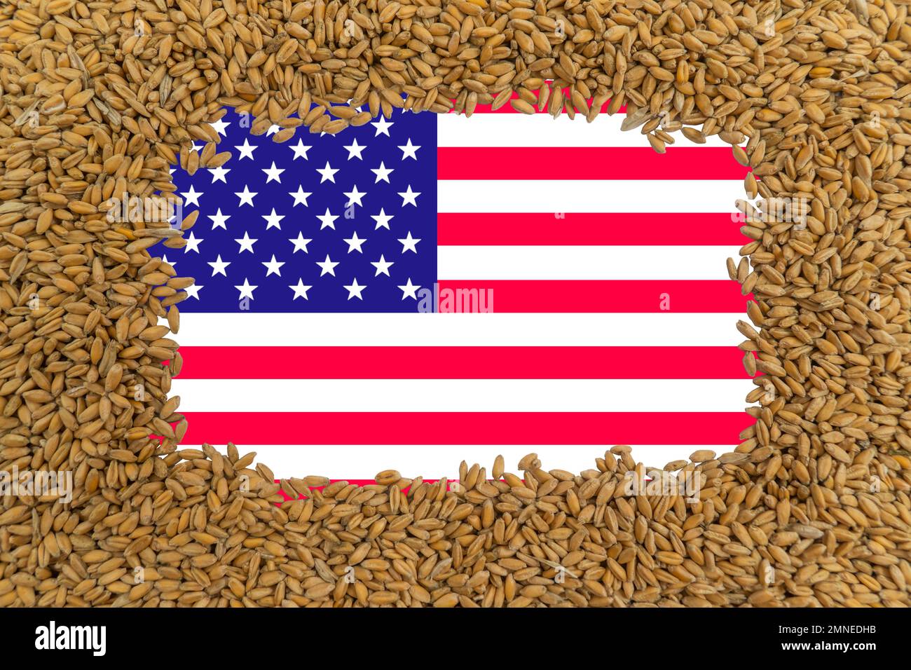 Frame of ripe grains of wheat on the background of the flag of USA. The ...
