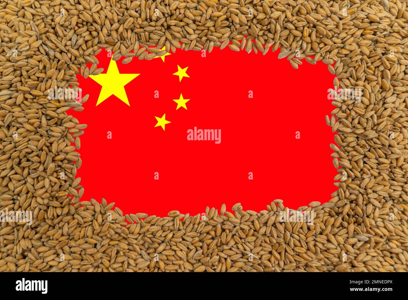 Frame of ripe grains of wheat on the background of the flag of China ...
