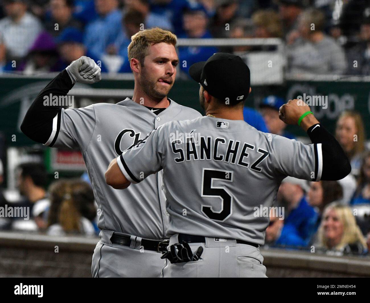 Chicago White Sox Matt Davidson, back, celebrates his home run with ...