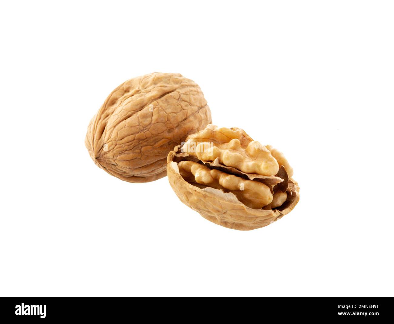 Walnut isolated. Walnuts peeled and unpeeled on white Stock Photo - Alamy