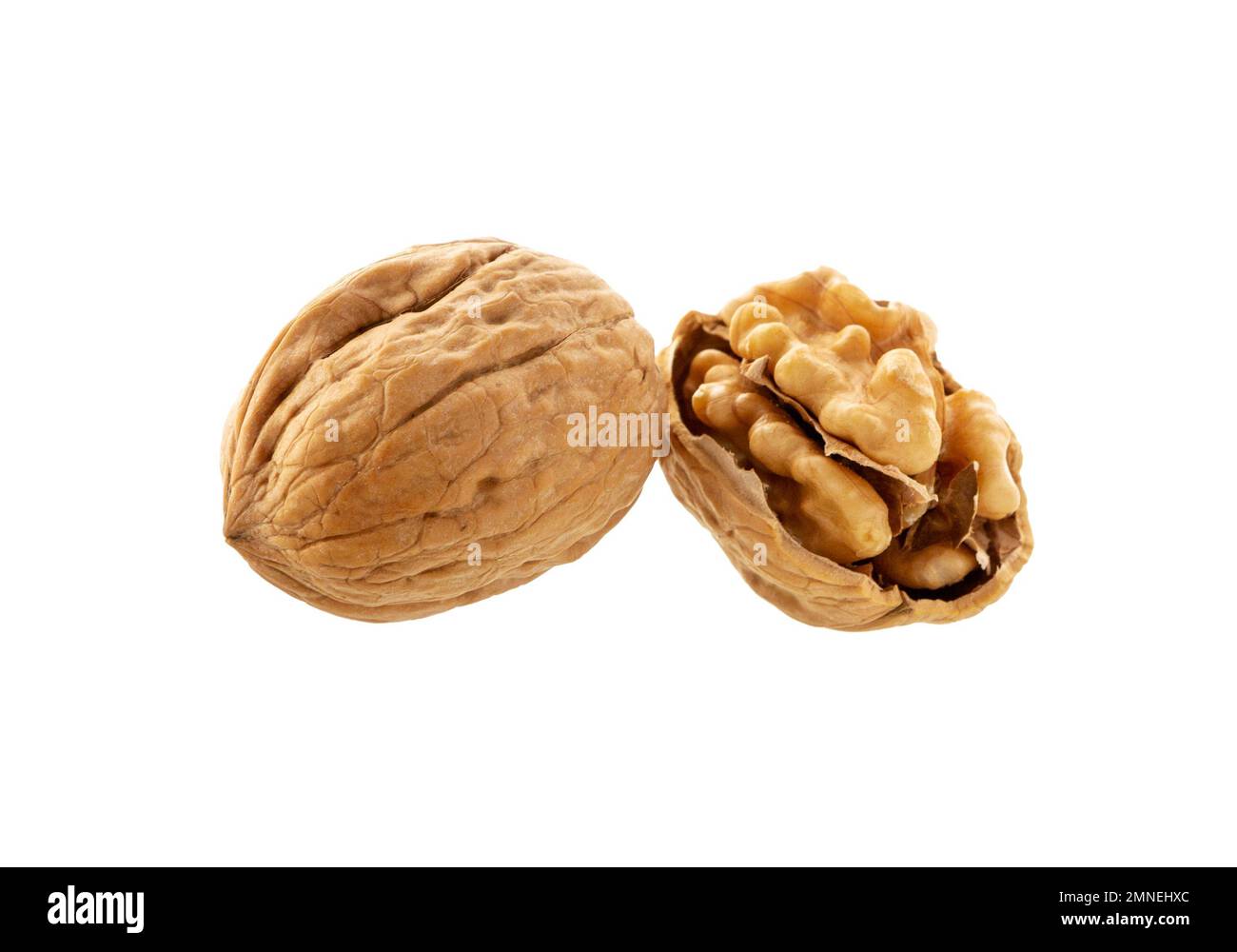 Walnut isolated. Walnuts peeled and unpeeled on white Stock Photo - Alamy