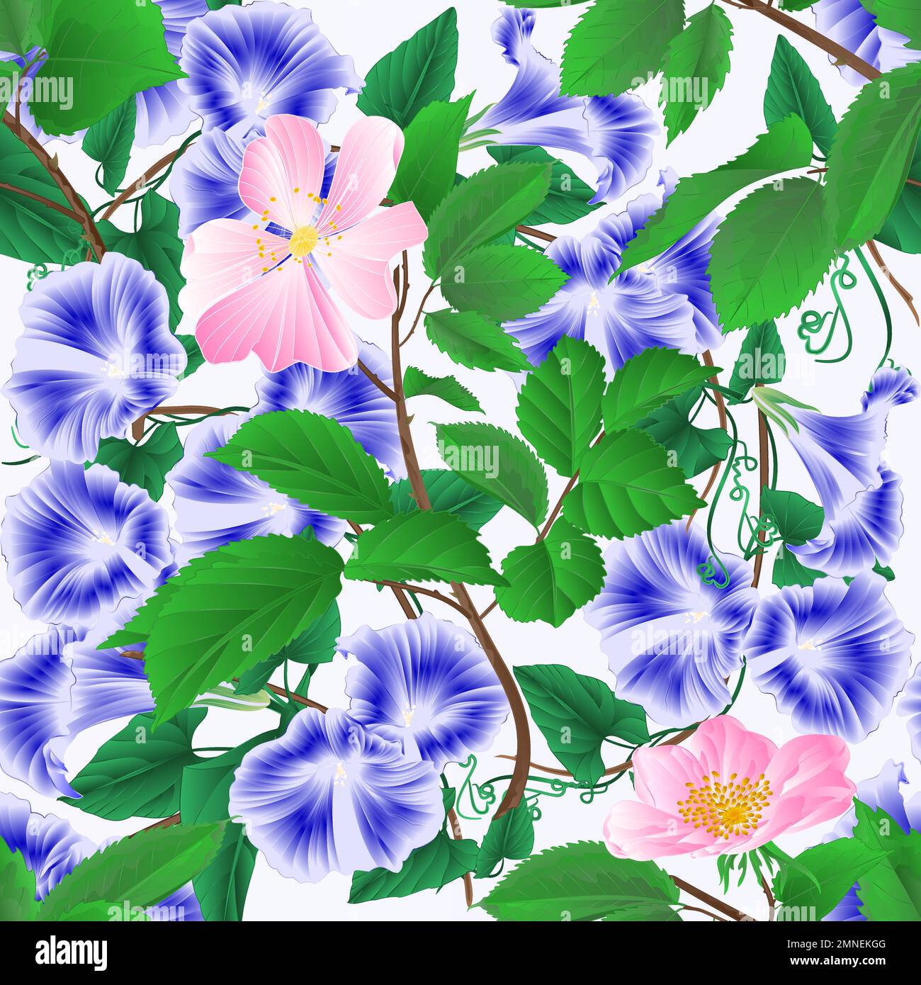 Seamless texture Morning glory blue spring flowers and twigs wild roses ...