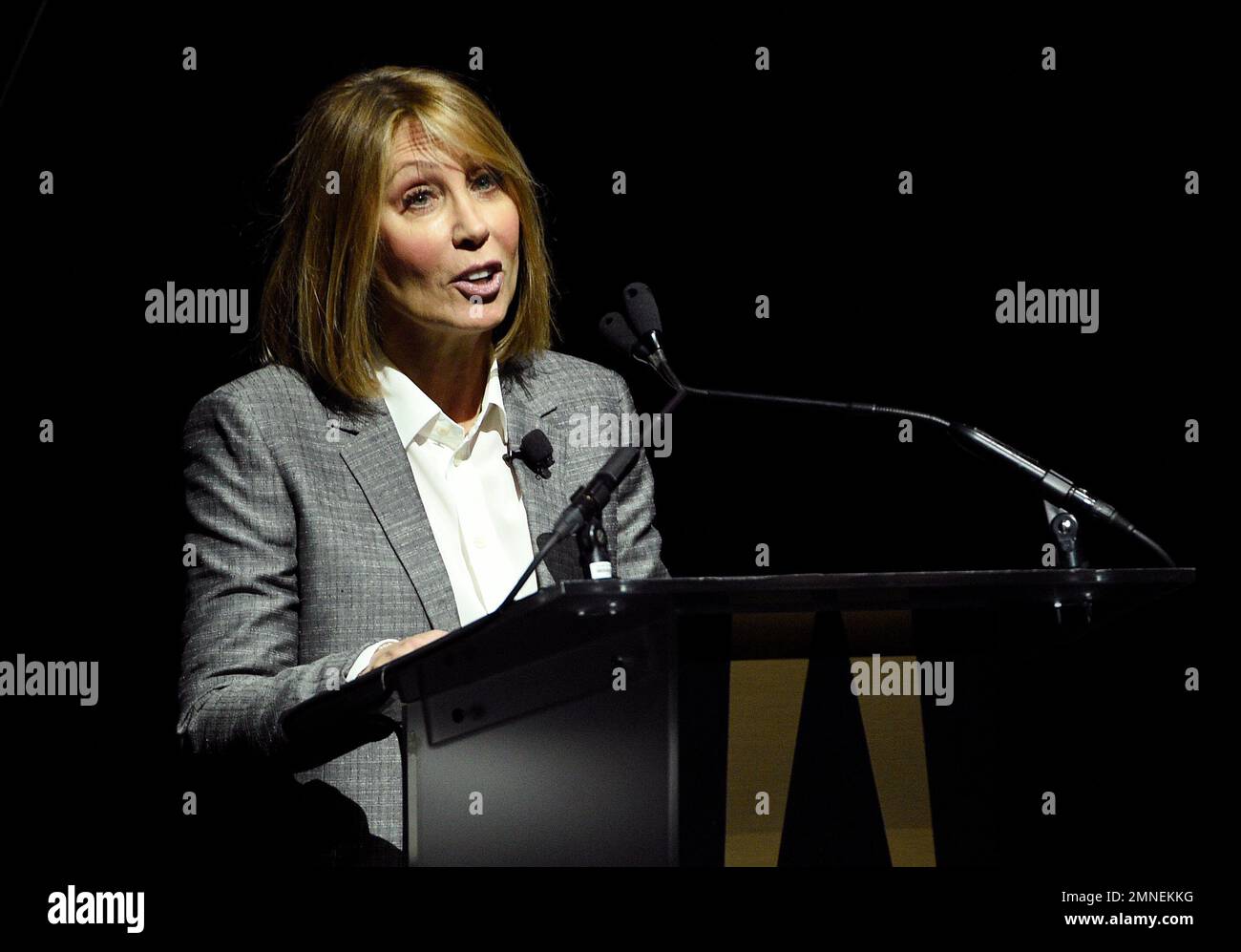 Stacey Snider, chairman and CEO of 20th Century Fox Film, addresses the ...