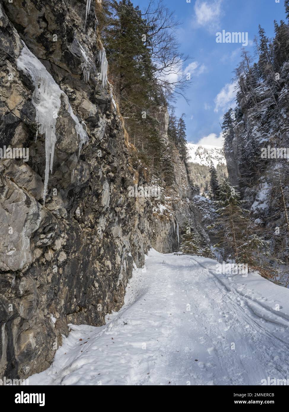 Devil's Gorge in winter, Johnsbach, Gesaeuse National Park, Styria ...