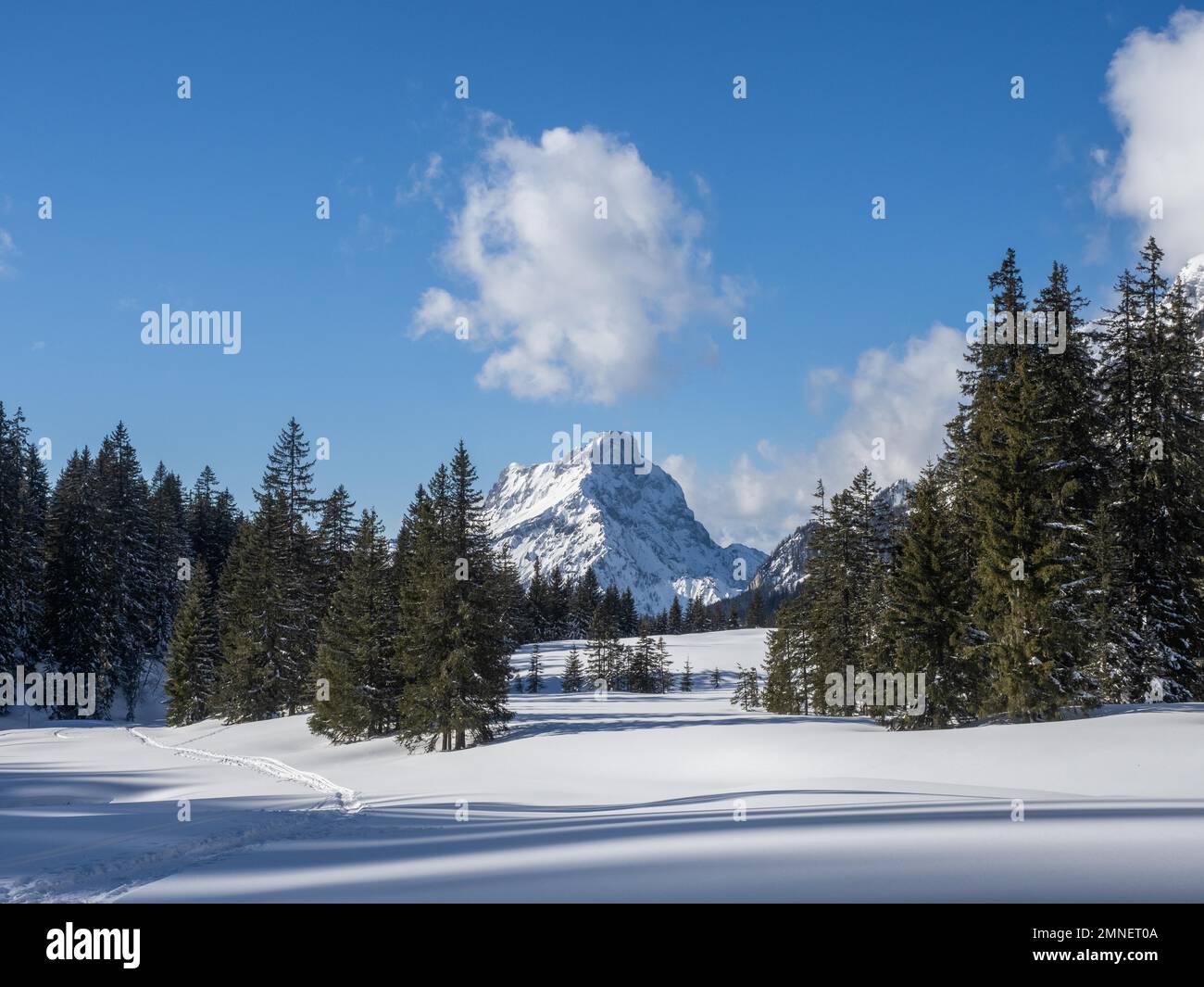 Winter landscape, Admonter Reichenstein at the back, alpine pasture ...