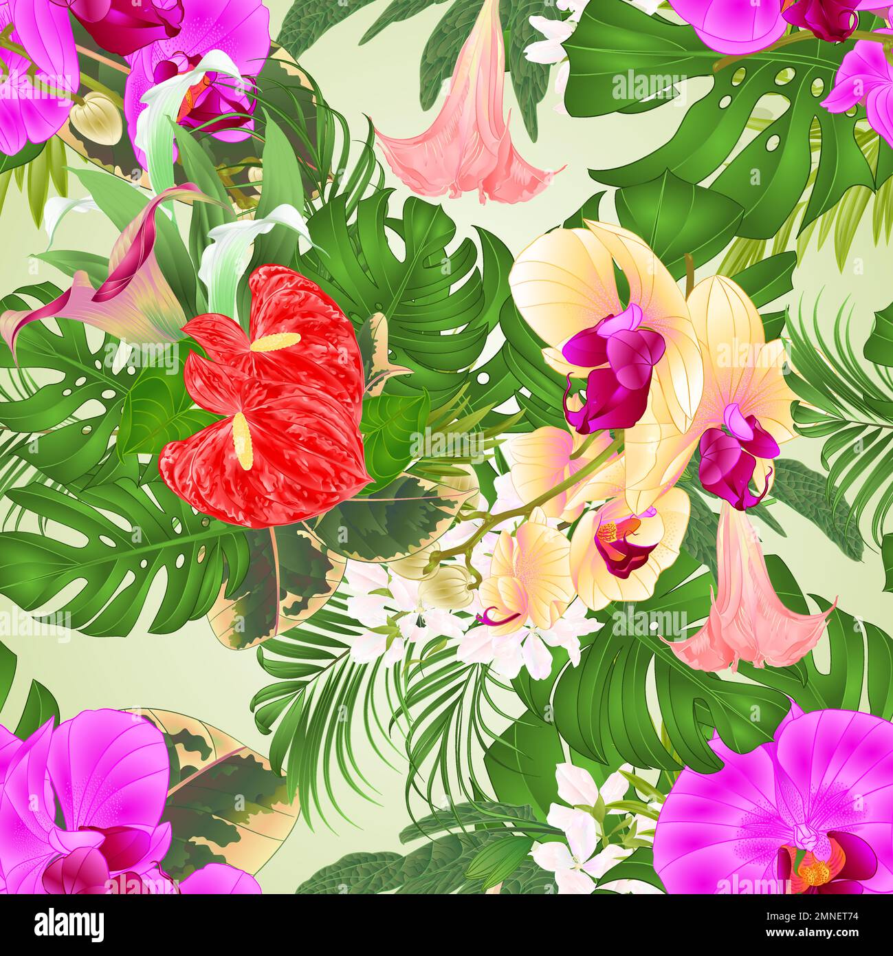 Anthurium lilies Stock Vector Images - Alamy