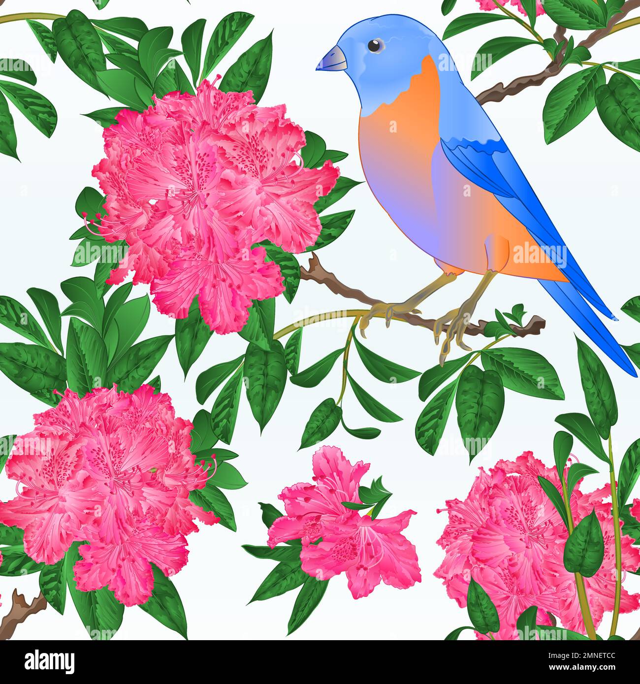 Seamless texture small bird Bluebird thrush and pinkrhododendron spring ...